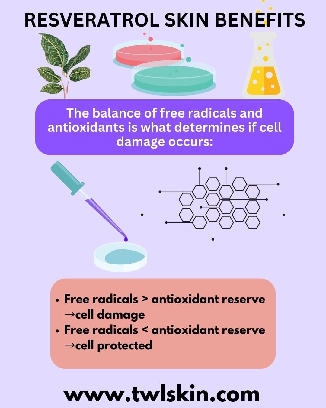 Resveratrol Skincare: The Anti-Aging Hero Dermatologists Recommend ...